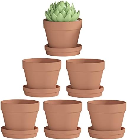 Amazon.com: 6 inch Terracotta & Clay Pots for Plants with Saucer ...