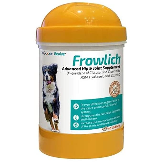 Buy PetFrolics Frowlich Advanced Hip and Joint Supplement for Dogs by ...