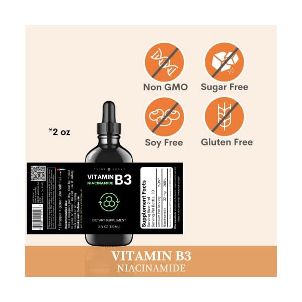 Vitamin B3 Niacinamide Liquid - Non Flush Form of B3 Niacin ...