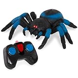 Giant Remote Control Spider | The Green Head