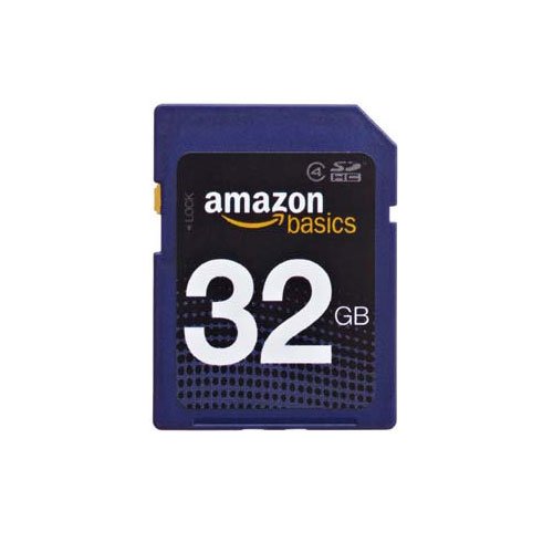 AmazonBasics 32GB Class 4 SDHC Secure Digital Card - Buy AmazonBasics ...