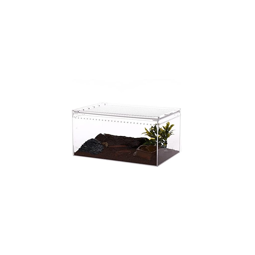 NANEEZOO Magnetic Acrylic Large Enclosure 2.5 Gallon, 12 x 8 x 6 Inch ...