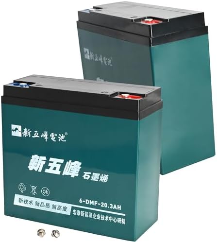 Amazon.com: YC Yier 2pcs 12V 20Ah Battery 6-DZF-20 6-DMF-20 Sealed Lead ...