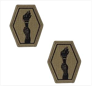 Amazon.com: Genuine Army USA Patch: 442ND Infantry Regiment ...