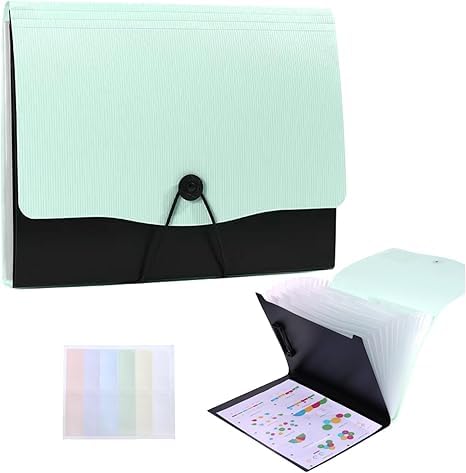 PROSFIA Expanding File Folder File Organizer 13 Pockets File Organizer ...