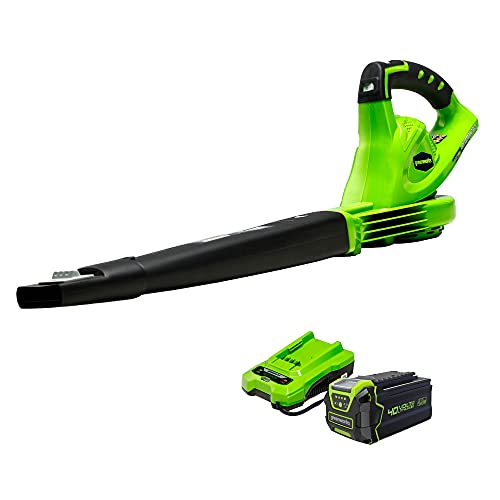 Greenworks 40V Sweeper, 4.0Ah Battery | Amazon price tracker / tracking ...