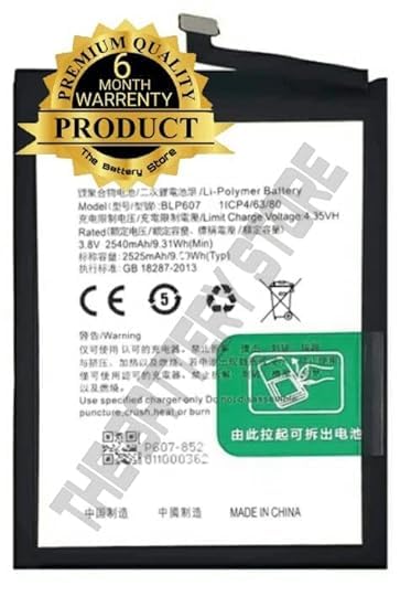 THE BATTERY STORE™ Original BLP607 Battery for One Plus X ONE E1003 ...