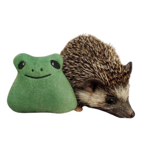 Amazon.com: Freddy the Frog Chibi Kawaii Mint Stuffed Fleece Hedgehog ...