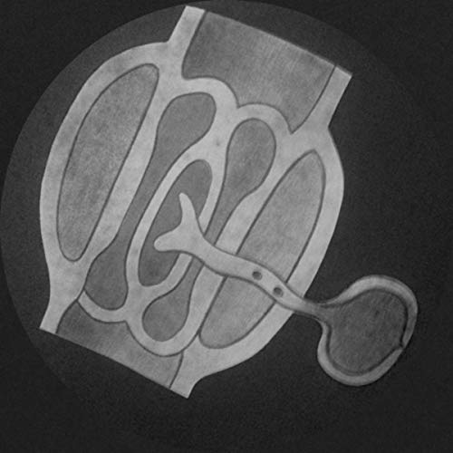 Play CNR009 by Carl Neuberg on Amazon Music