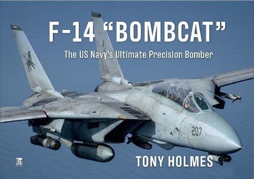 Amazon | F-14 Bombcat: The Us Navy's Ultimate Precision Bomber | Holmes ...