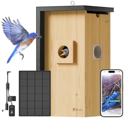 Amazon.com: Birdfy Bird House with Camera Solar Powered with Iron Guard ...