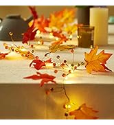 Amazon.com: MIYA LIFE Natural Fluorite String Lights | 6.5FT & 20LEDs ...