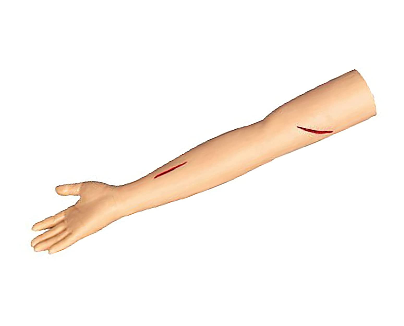 Buy Exercise template for upper limb arm engraving and suture, surgical ...