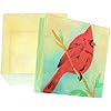 Amazon.com: Kubla Craft Cardinal Capiz Shell Keepsake Box, 3 Inches Square