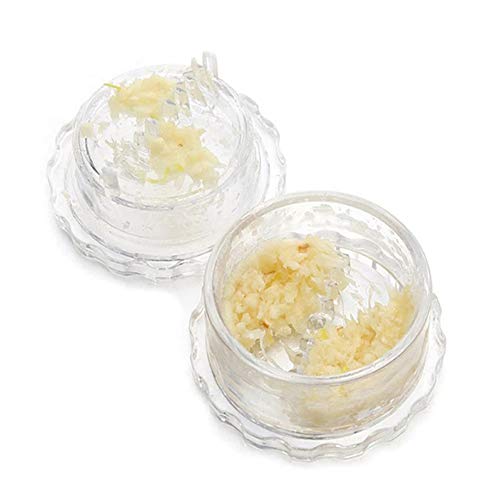 amazon.ae Best Sellers: The best items in Garlic Presses based on ...