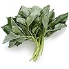 Amazon.com : 2000+ Egyptian Spinach Seeds, Jute Plant, Corchorus ...