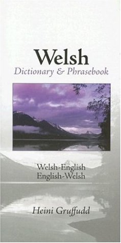 Welsh-English / English-Welsh Dictionary & Phrasebook (Hippocrene ...