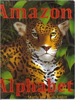 Amazon Alphabet: Martin Jordan: Amazon.com: Books