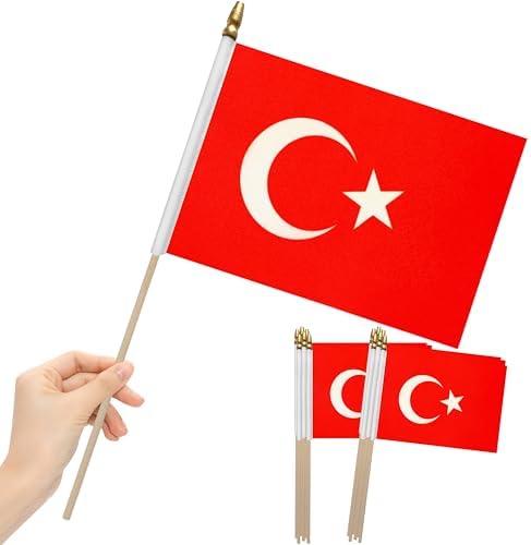 Amazon.com : LoveVC 12Pcs 8×12 Inch Ghana Flags Small Ghanaian Flag on ...