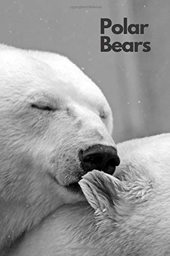 Polar Bears: Notebook with Animals for Kids, Notebook for Coloring ...