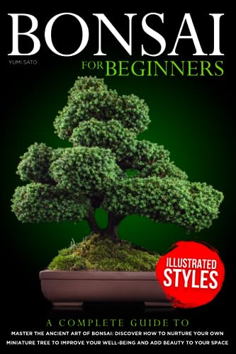 Bonsai Tree Care Guide: How To Grow And Maintain?