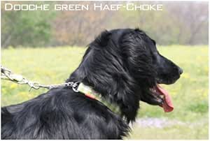 Amazon | 中型犬〜大型犬用 Dooche green ハーフチョーク | R.beeva | チョークカラー 通販
