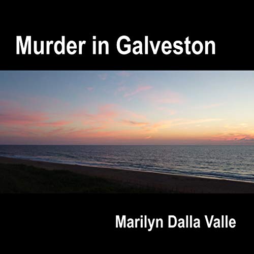 Amazon.com: Murder in Newport: Liz Adams Mysteries, Volume 2 (Audible ...