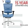 Amazon.com: X-Chair X3 Management Office Chair, Blue A.T.R. Fabric with ...