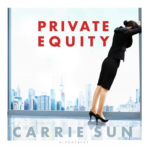 The Private Equity Playbook: Management's Guide to Working with Private ...