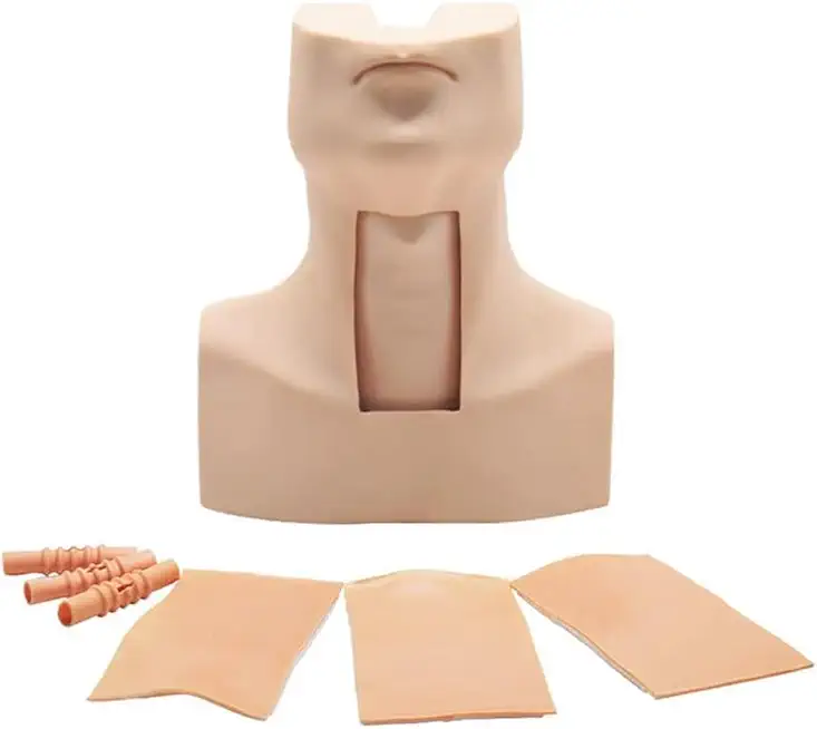 Intubation And Tracheostomy: Understanding The Key Differences | MedShun