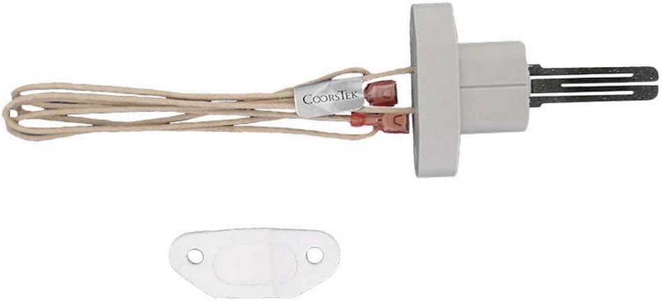 Amazon.com : Pentair RW2002300 Ignitor and Gasket Replacement Kit Pool ...