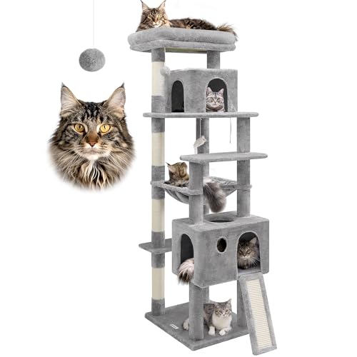Heavy Duty Cat Tree – The 15 best products compared - Wild Explained