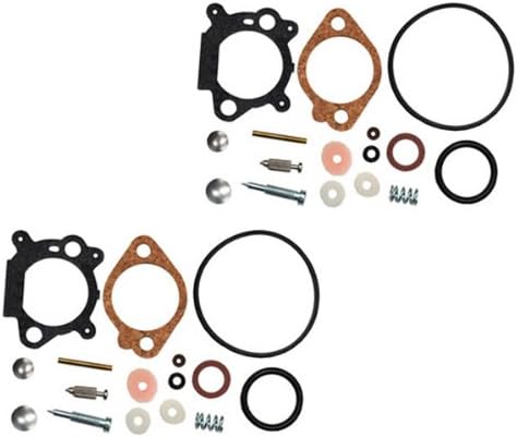 Amazon.com : Briggs & Stratton 498260 Carburetor Overhaul Kit (2 Pack ...