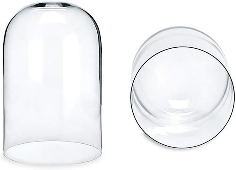 Amazon.com: Wedding Collectibles Glass Protective Cake Topper Display ...