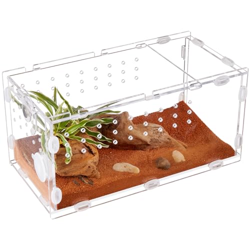Snapklik.com : Jumping Spider Enclosure, Tarantula Larvae Enclosure ...