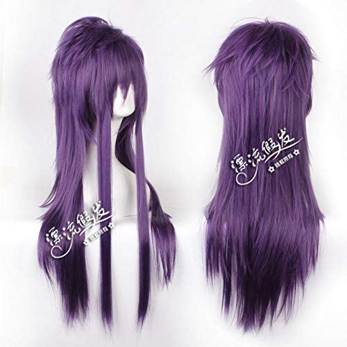 Amazon.com: Magi Sinbad Cosplay Wigs Purple Heat Resistant Long ...