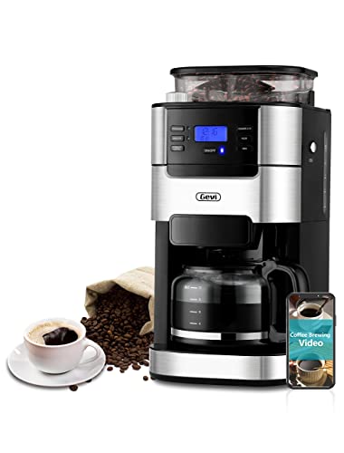 Gevi 10-Cup Grind and Brew Review: Is This Secret Machine Really a 1st ...