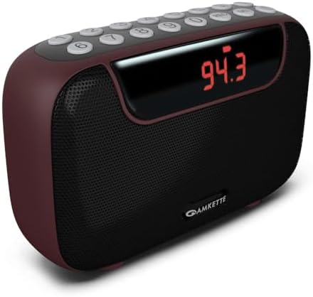 Saregama Carvaan Mini Hindi 2.0- Music Player with Bluetooth/FM/AM/AUX ...