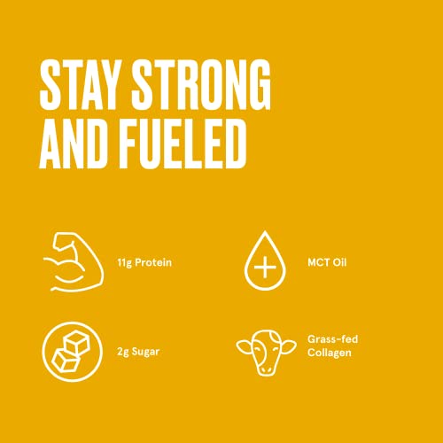 The 8 Best Bulletproof Protein Powder of 2024 [Verified] - Cherry Picks