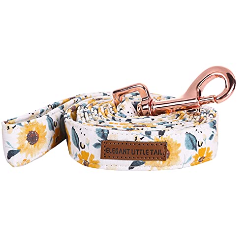 Cute Dog Leash – The 15 best products compared - Wild Explained