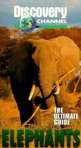 Elephants: Amazon.fr: Ultimate Guide: DVD et Blu-ray