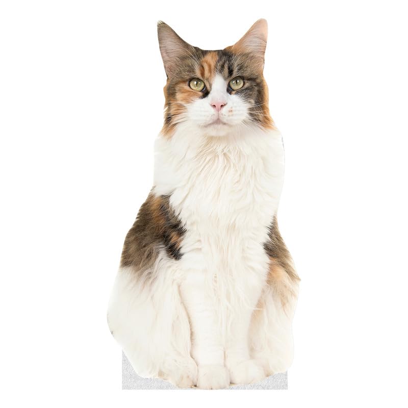 Amazon.com: CAT - Calico CAT - Life Size Cardboard Cutout Standup ...