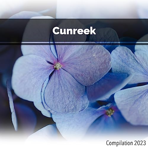 Play Cunreek Compilation 2023 by John Toso, Mauro Rawn & Benny ...