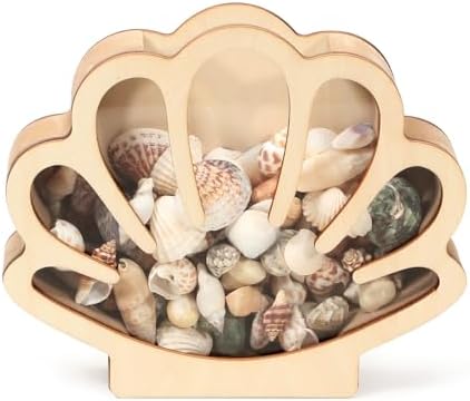 Amazon.com: Xylolfsty Seashell Display Box Wooden Seashell Holder with ...