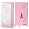 Amazon.com: Svartur Mini Locker with Lock & Keys, Stickers, Metal Small ...
