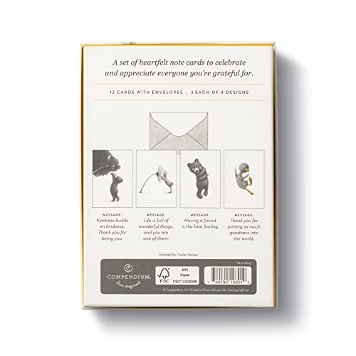 Snapklik.com : Compendium Boxed Note Cards So Much Gratitude 12 Note ...
