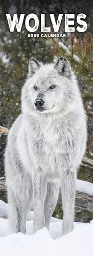 Wolves 2024 Calendar : Amazon.co.uk: Stationery & Office Supplies