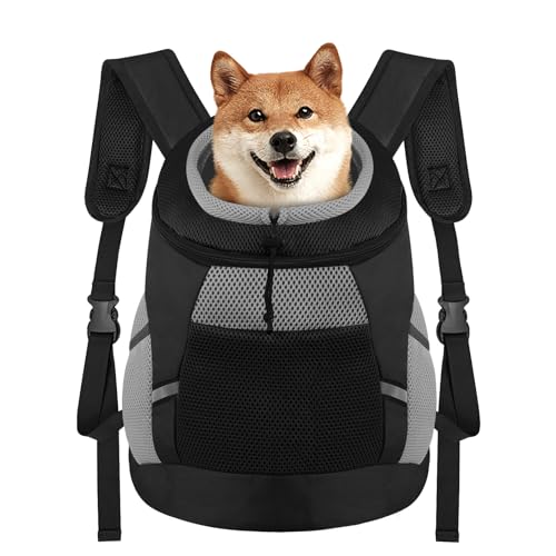 10 Best Dog Backpack Carriers | 2024