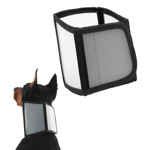 Dog Neck Brace – The 15 best products compared - Wild Explained