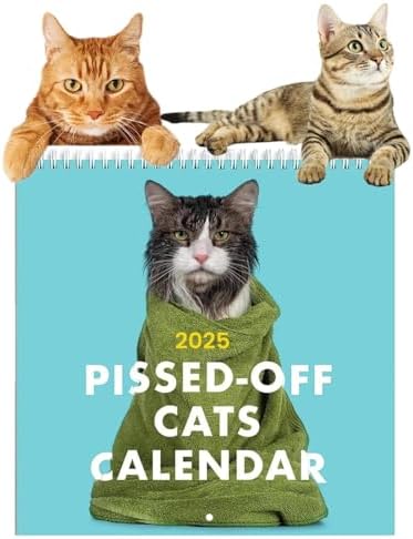 12 Month Cat Calendar 2025, Funny Monthly Paper Planner Wall Cat ...